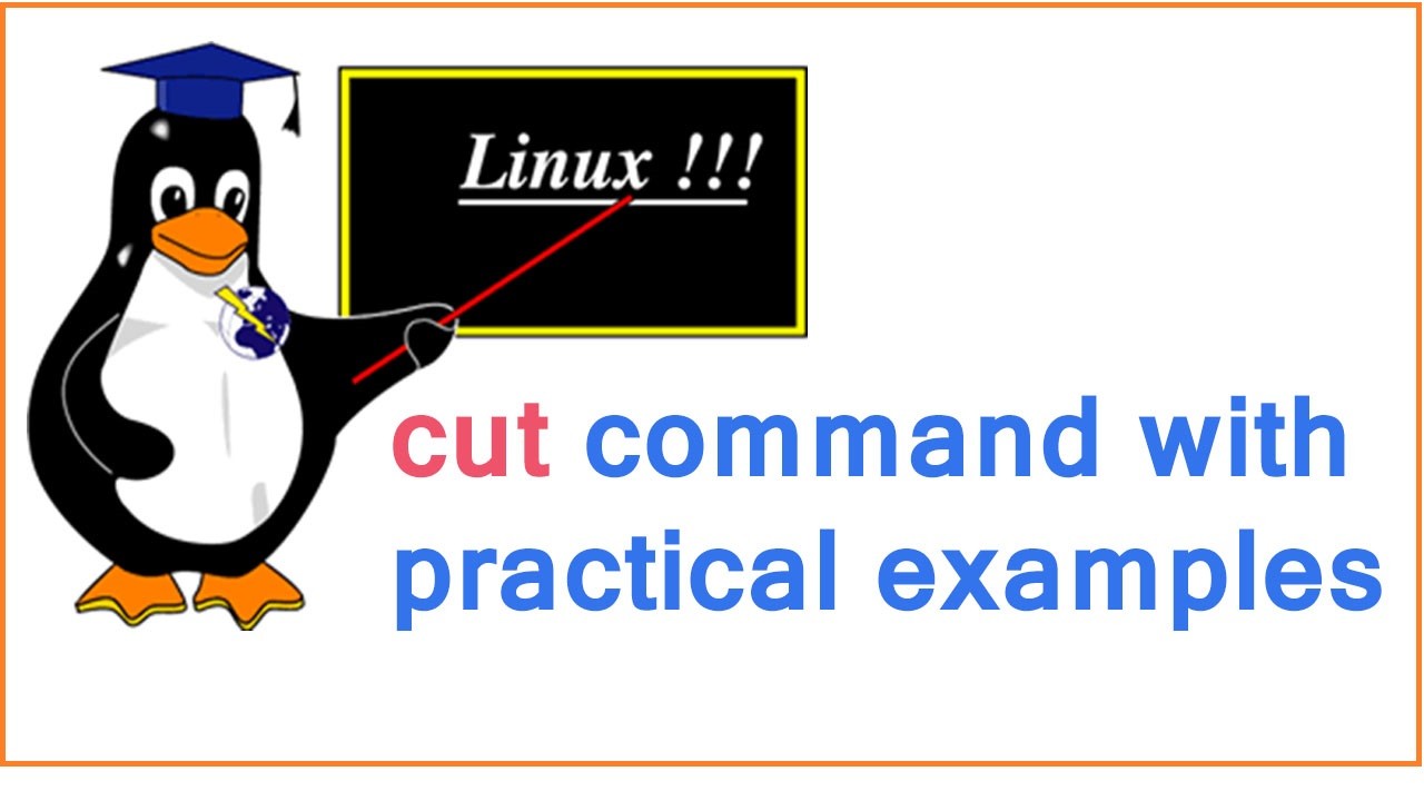 8 Cut Command Using With Shell Scripting Practical Examples