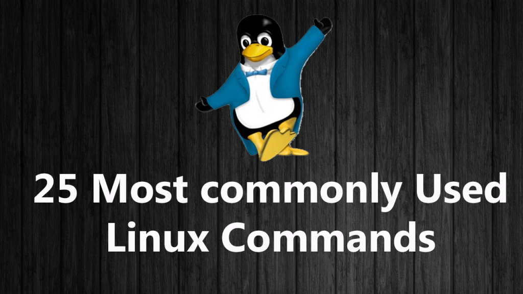 25 most commonly used linux commands - ARKIT